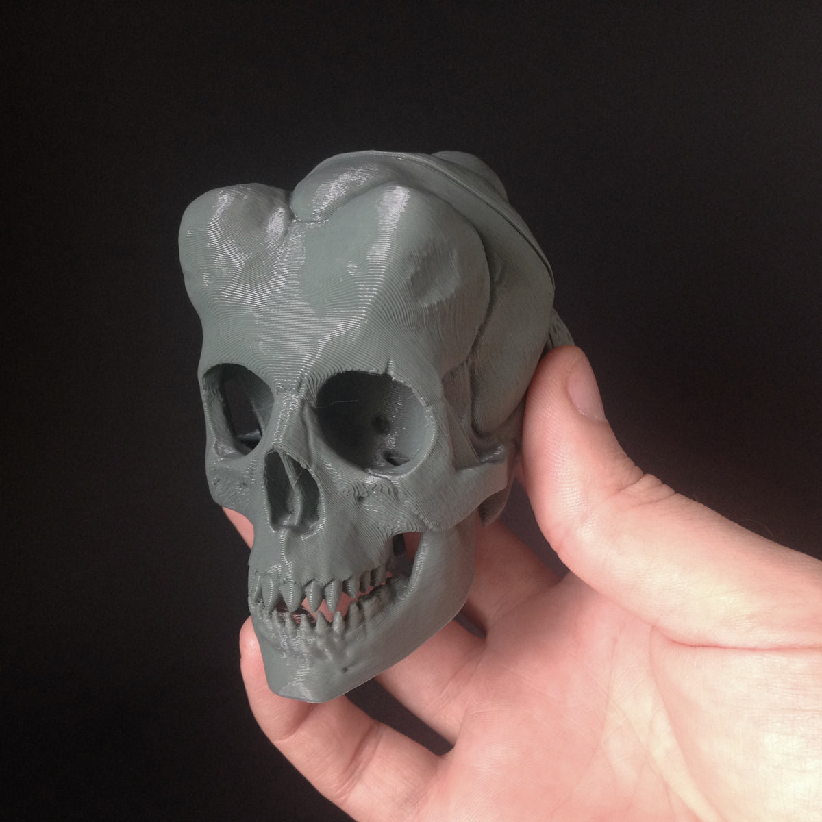 008 Lumpy Skull | 3D Print The Entire Parody Skull Collection – 3DKitbash