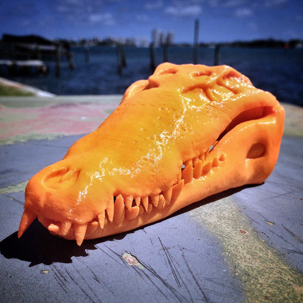 crocodile skull